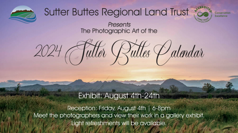 Upcoming Events | Sutter County Museum